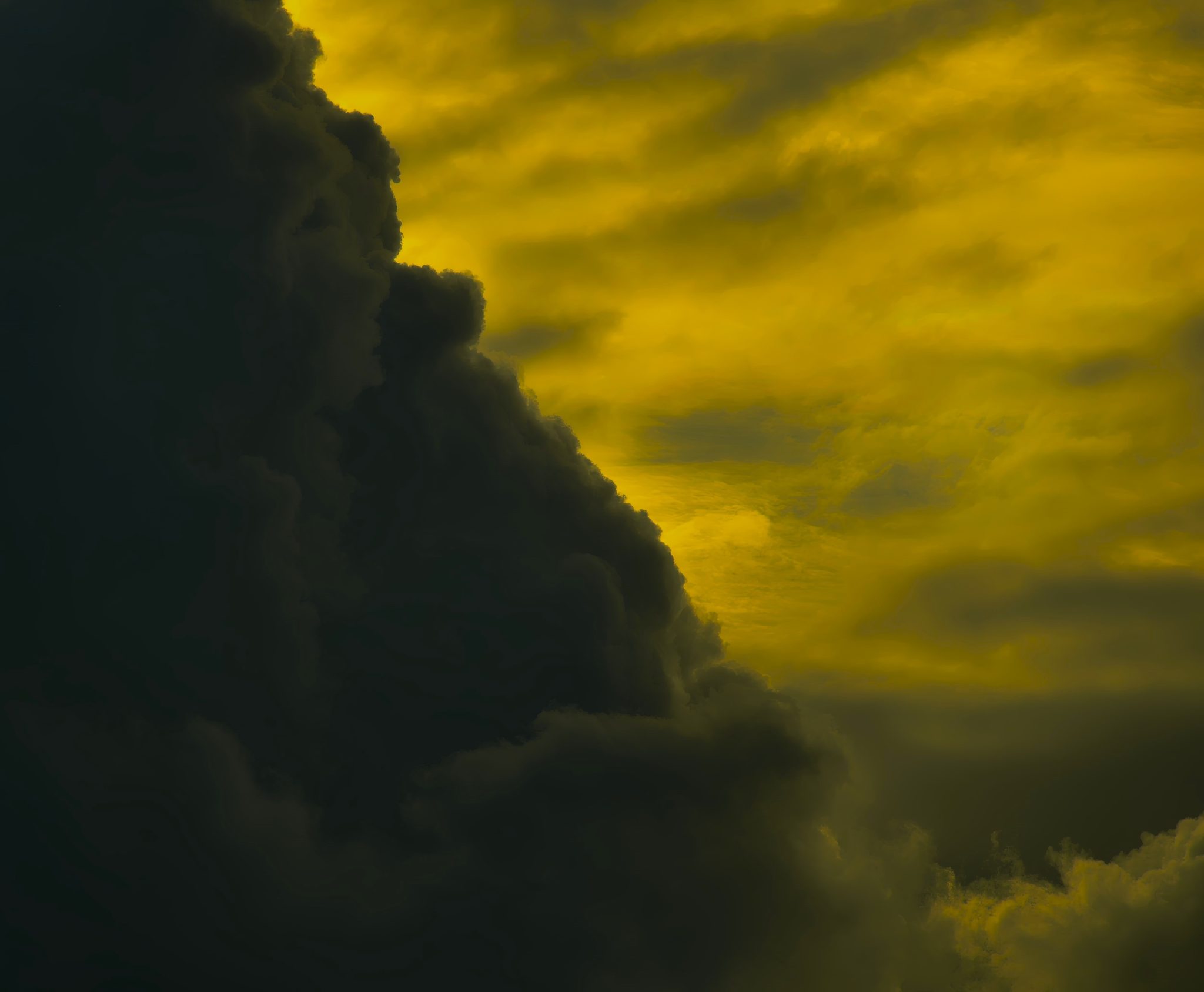 Weekly Photography Assignment: Wildlife Portraits - Nature TTL