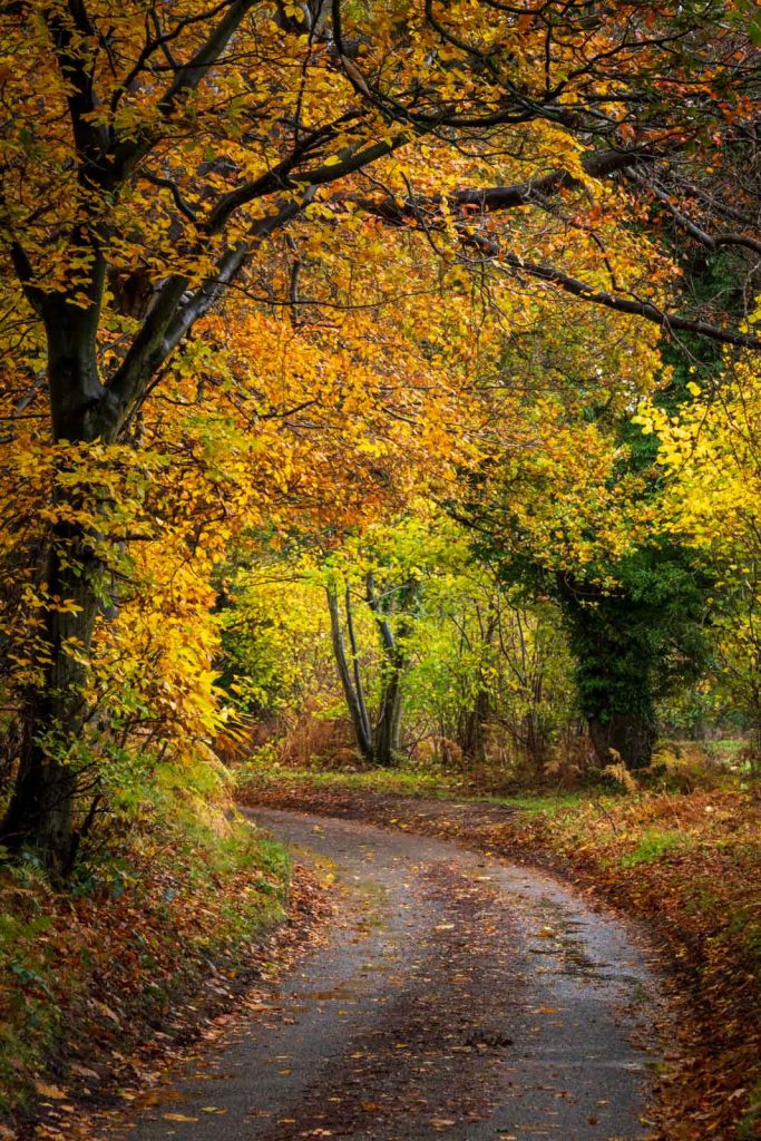 Best Filters for Landscape Photography - Nature TTL