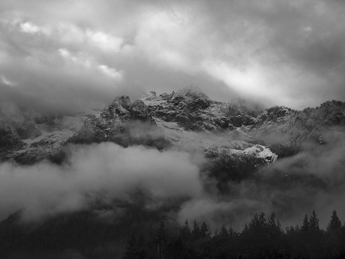 Why You Should Be Shooting in Raw - Nature TTL