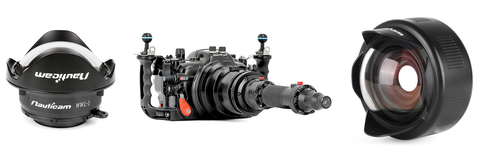 How to Choose a Lens for Underwater Photography - ChinaGoSmart News ...