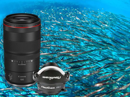 How to Choose a Lens for Underwater Photography - Nature TTL