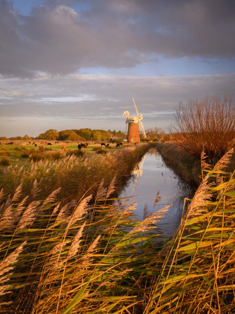 What's the Best Mirrorless Camera for Landscape Photography? - Nature TTL