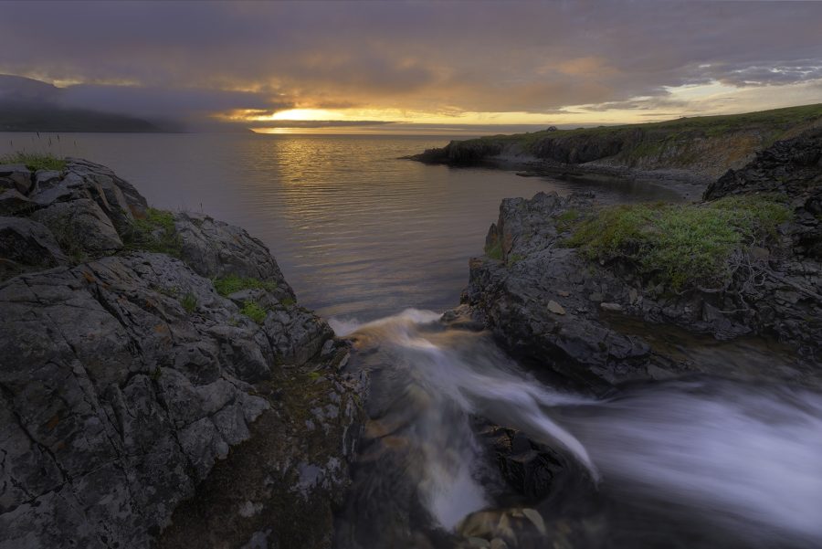 Weekly Photography Assignment: Fill the Frame - Nature TTL