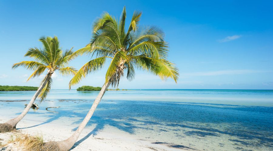 6 Top Tips for Beach Photography - Nature TTL