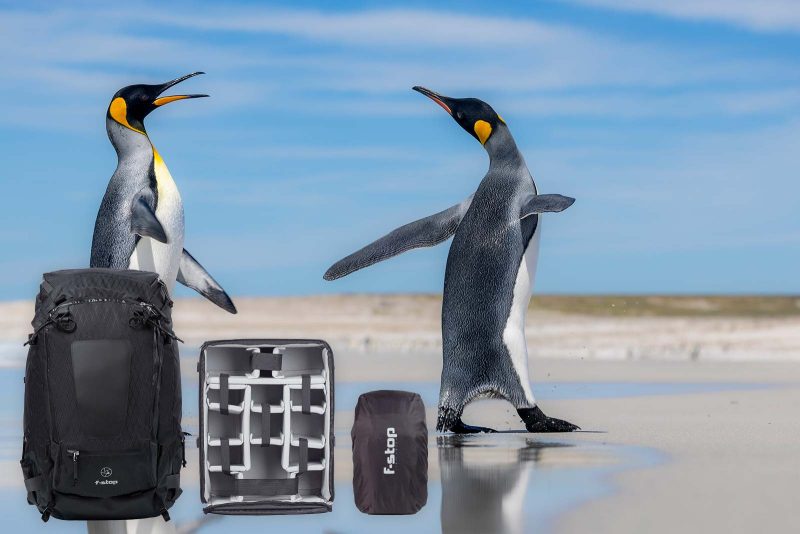 How to Choose a Camera Backpack for Photography - Nature TTL