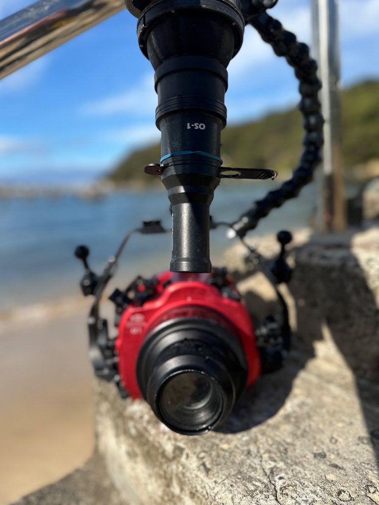 How to Use a Snoot for Underwater Photography - Nature TTL