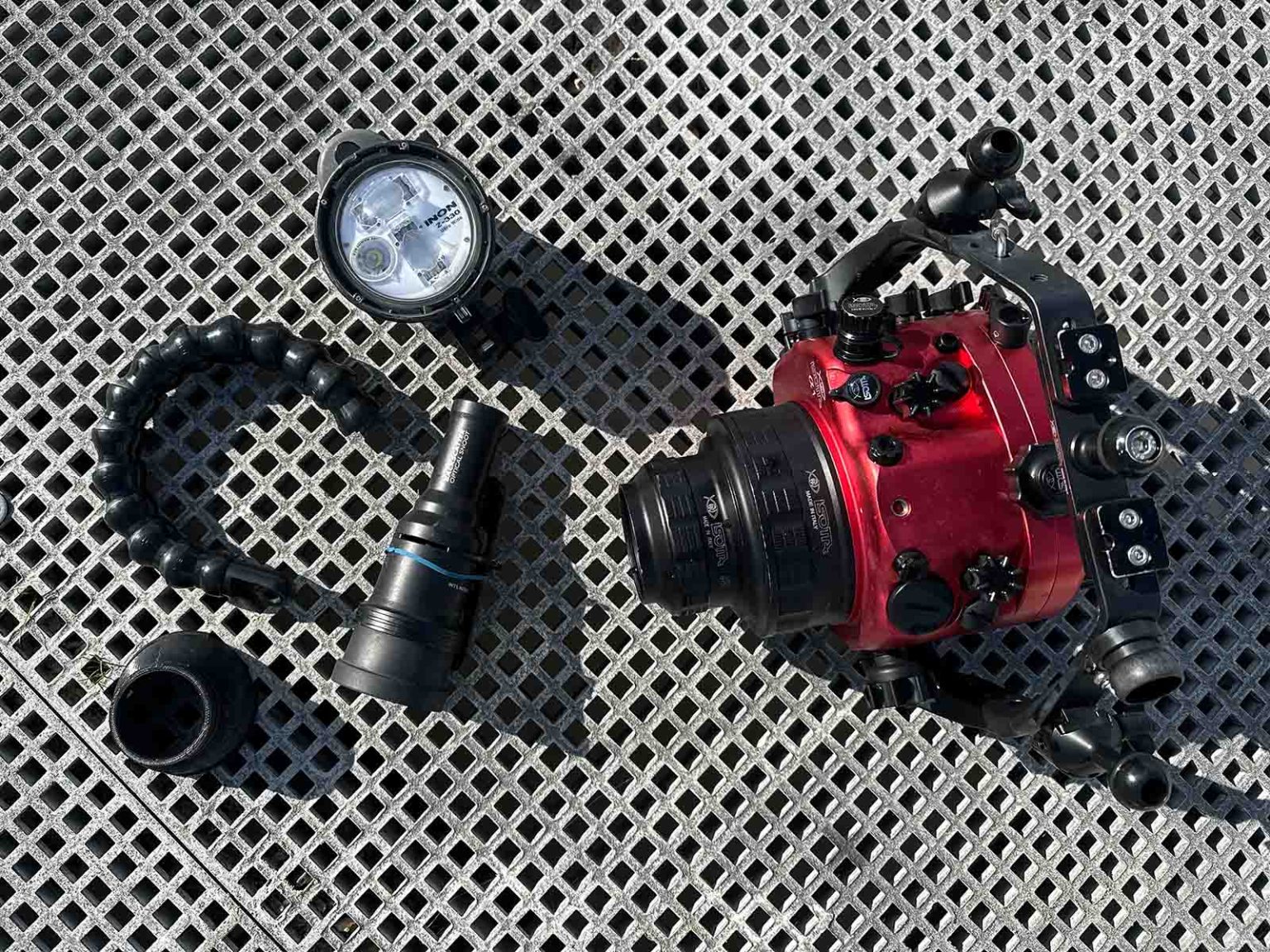 How to Use a Snoot for Underwater Photography - Nature TTL