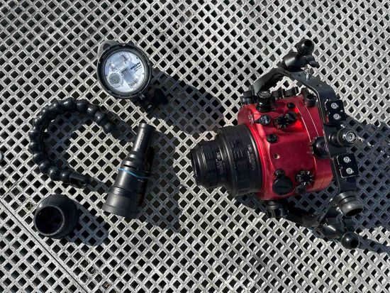 How to Use a Snoot for Underwater Photography - Nature TTL