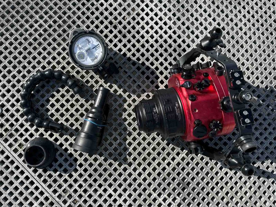How to Use a Snoot for Underwater Photography - Nature TTL