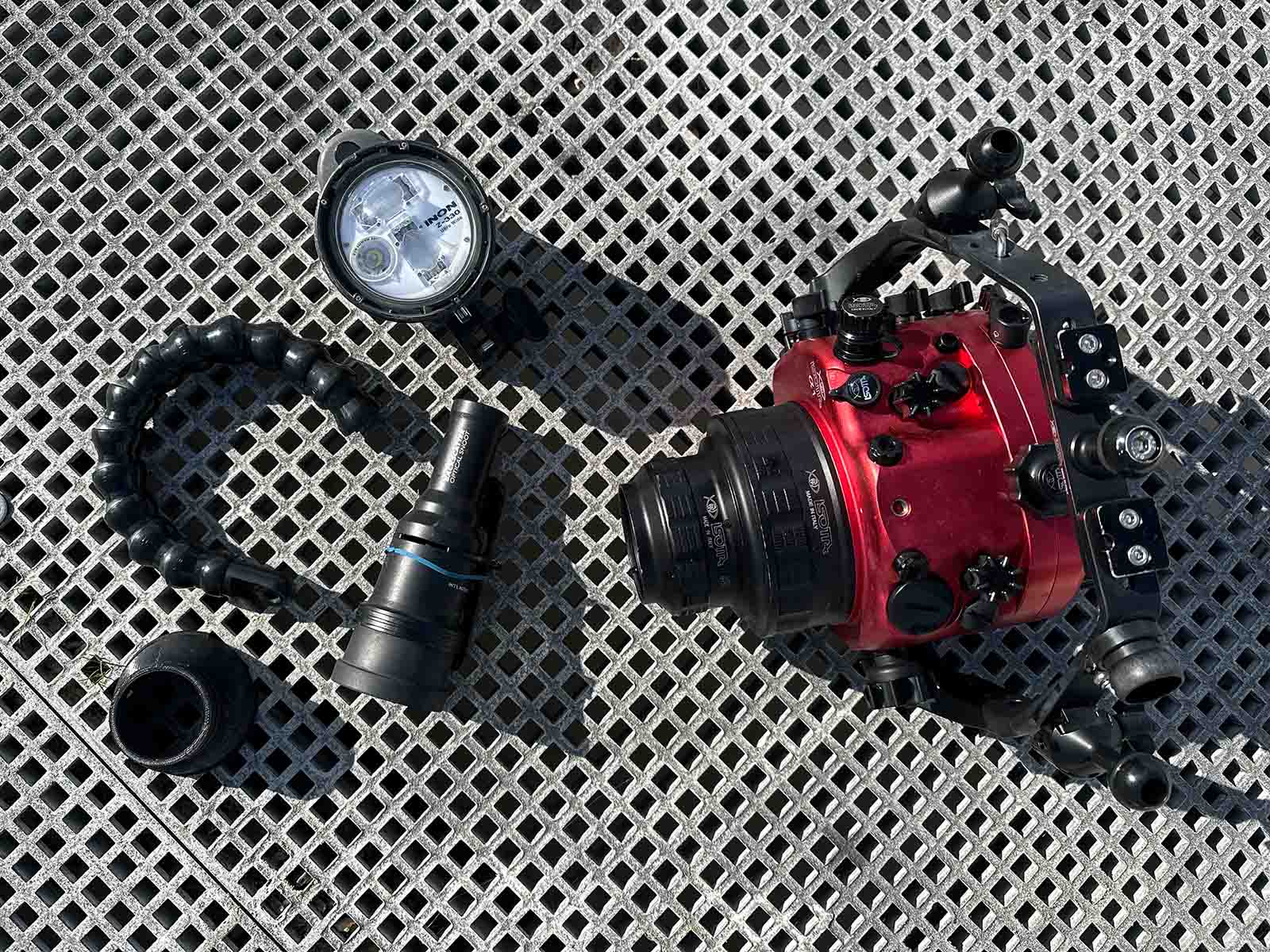 How to Use a Snoot for Underwater Photography - Nature TTL