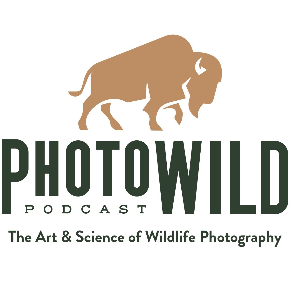 10 Best Photography Podcasts to Listen to - Nature TTL