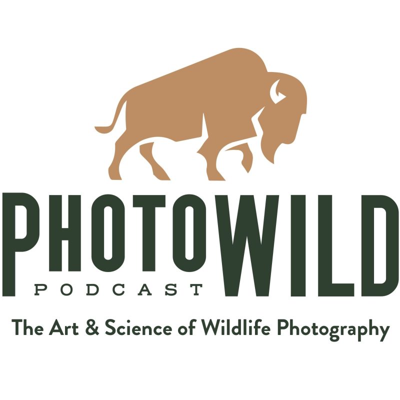 10 Best Photography Podcasts to Listen to - Nature TTL