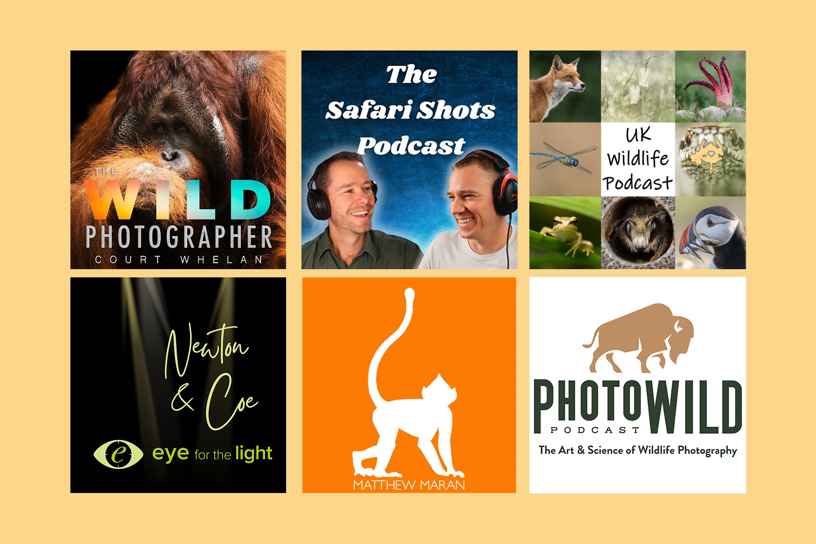 10 Best Photography Podcasts to Listen to - Nature TTL