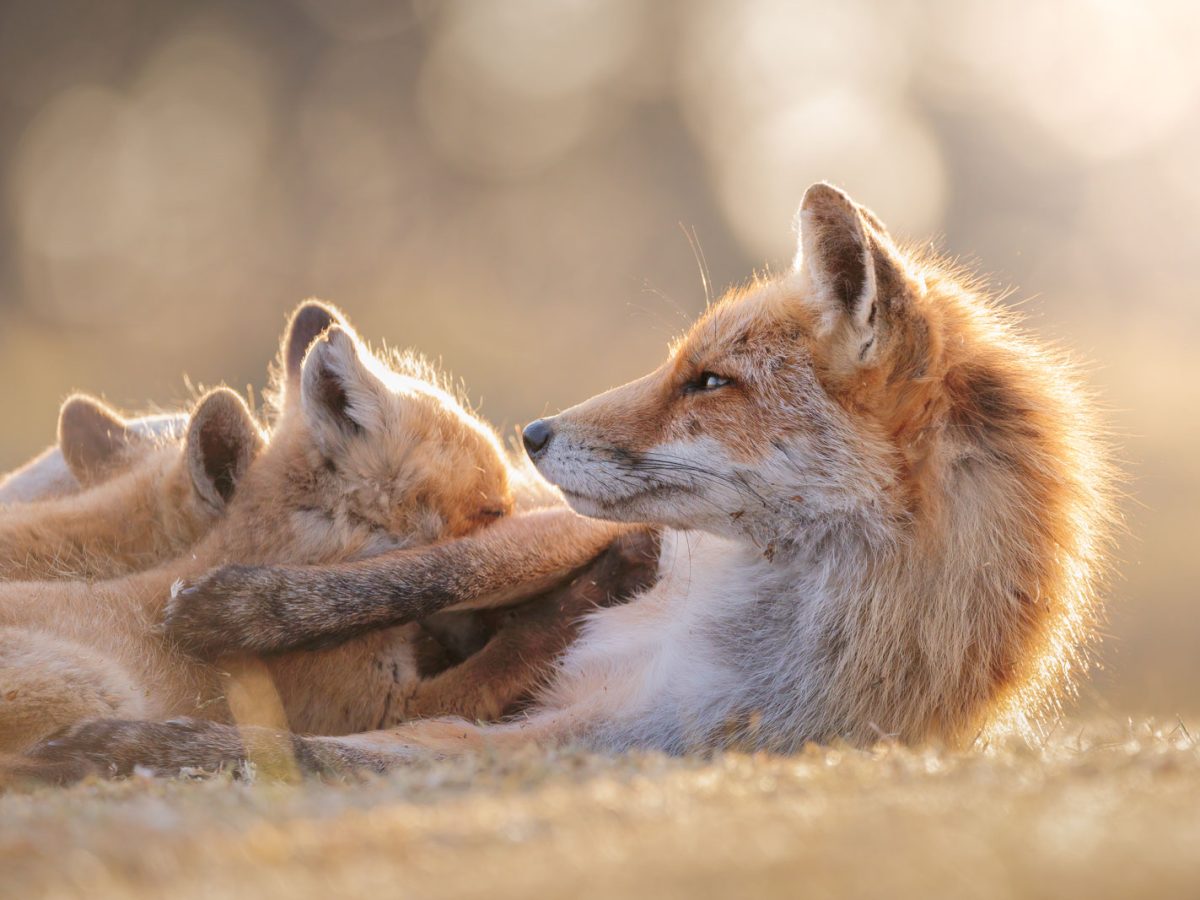 Weekly Photography Assignment: Reflections - Nature TTL