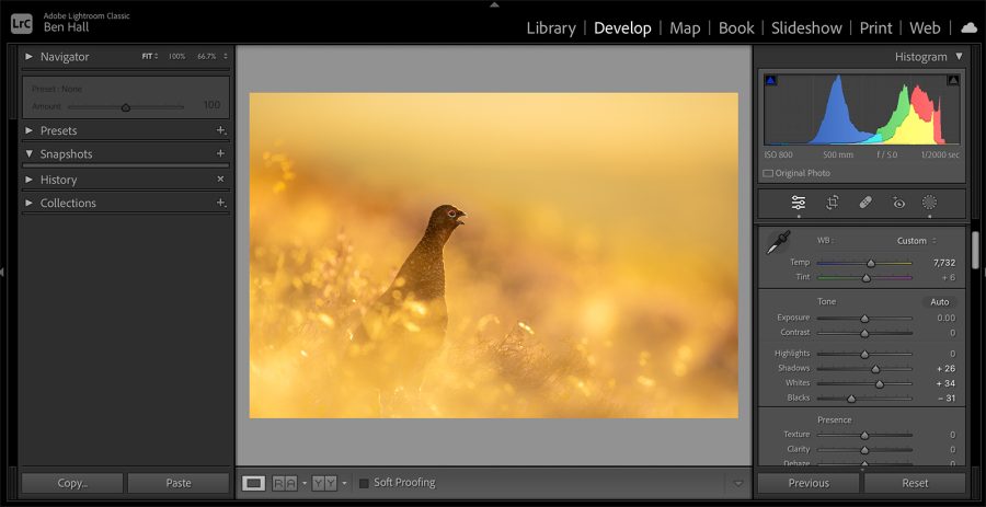 Editing Guide to Golden Hour Photography - Nature TTL