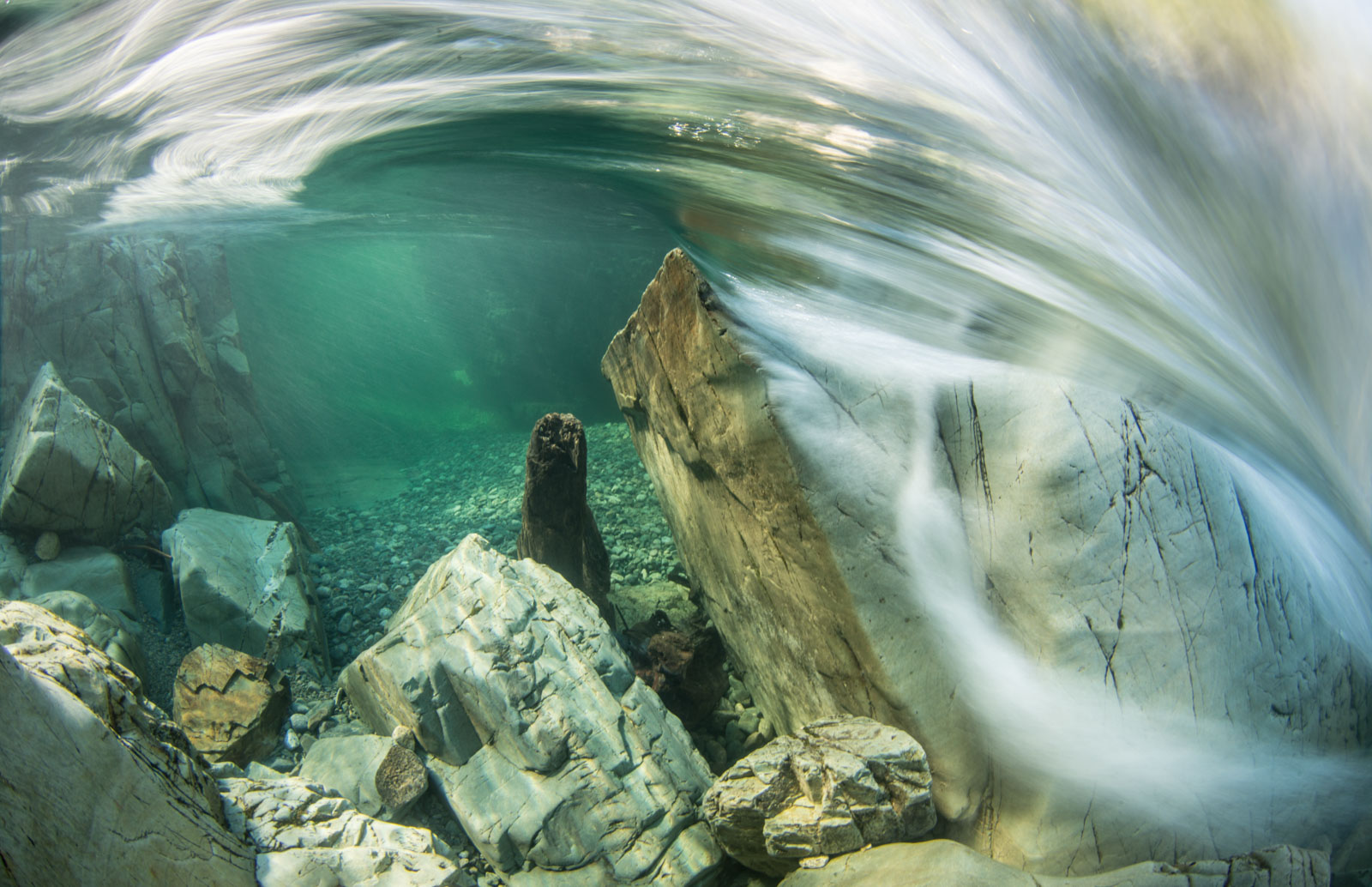A Guide to Freshwater Underwater Photography - ChinaGoSmart News Magazine
