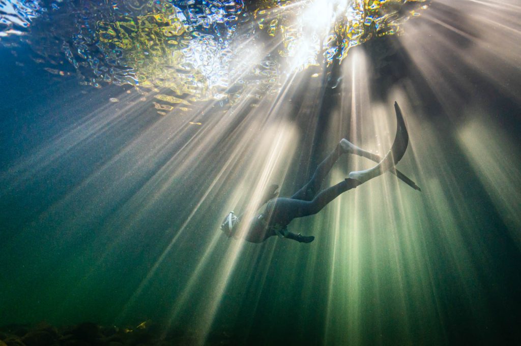 A Guide to Freshwater Underwater Photography - Nature TTL