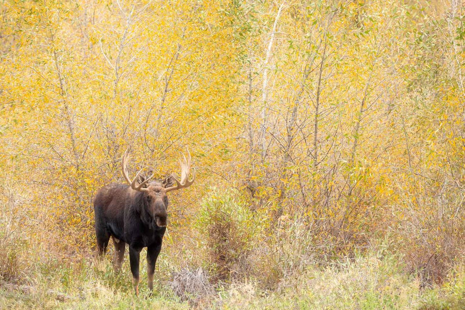 8 Great Photography Spots in the American West - Nature TTL