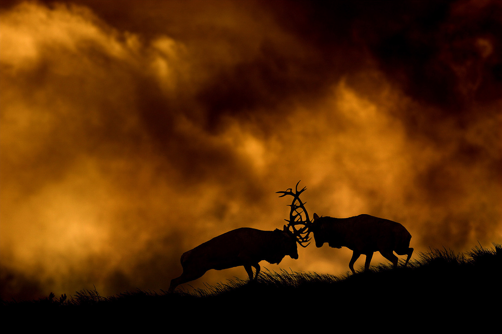 The Importance of Pre-visualisation in Photography - ChinaGoSmart News ...