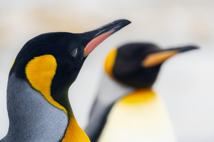 The Importance of Pre-visualisation in Photography - ChinaGoSmart News ...