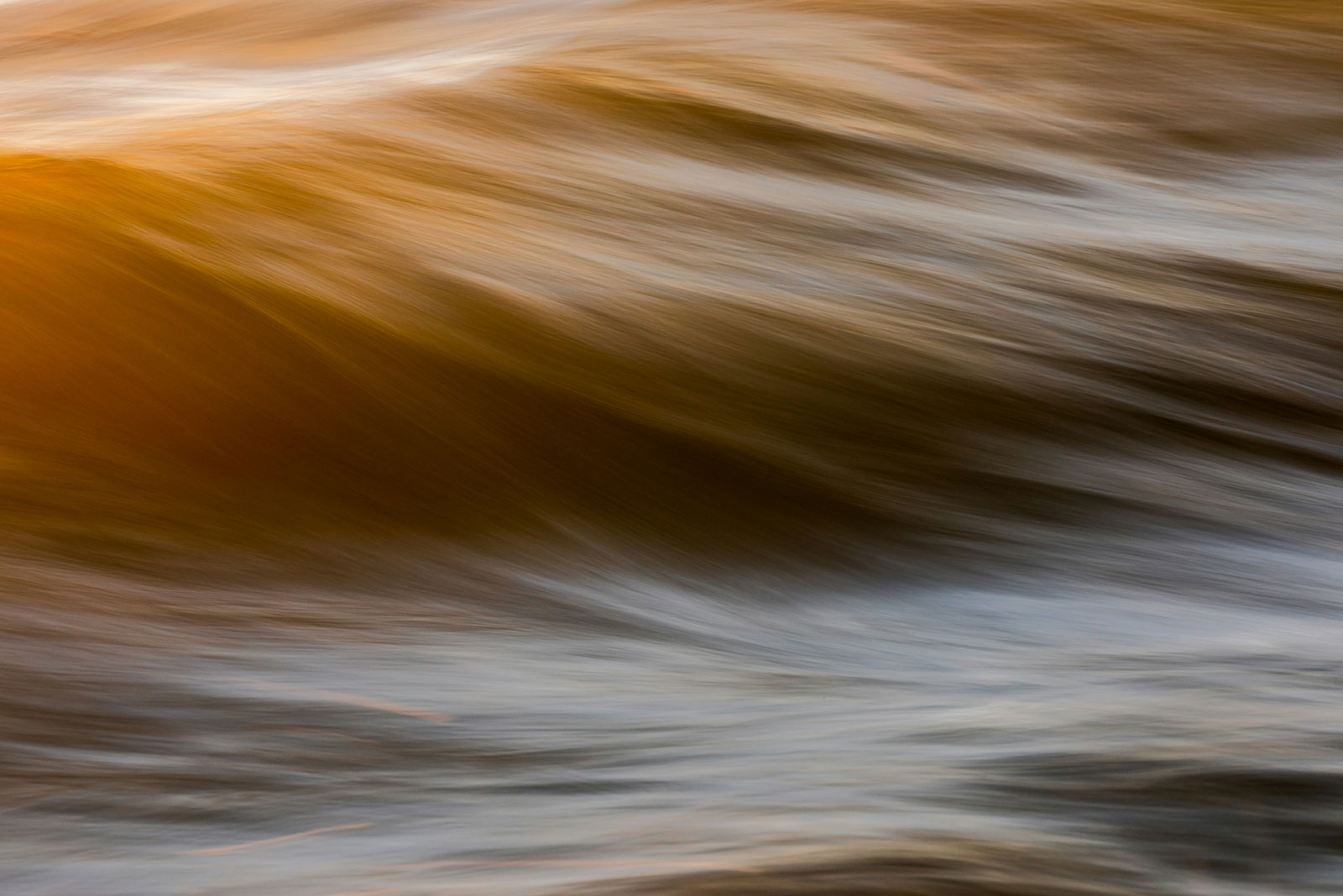 Weekly Photography Assignment: Movement - Nature TTL