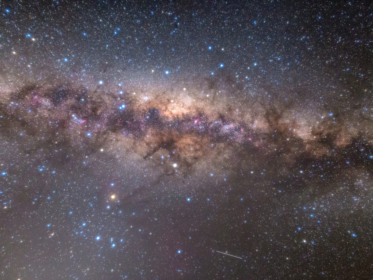 What's the Best Portable Wildlife Photography Hide? - Nature TTL