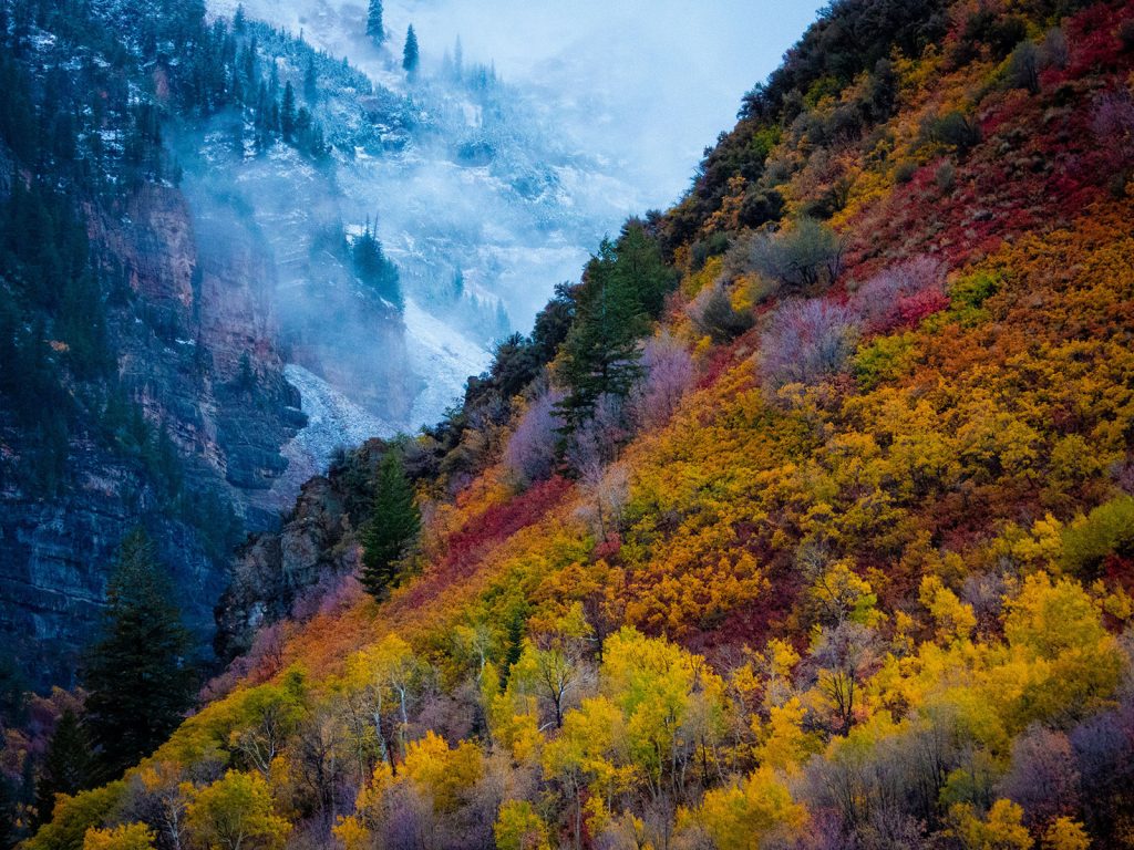 Seasonal Nature Photography Guide - Nature TTL