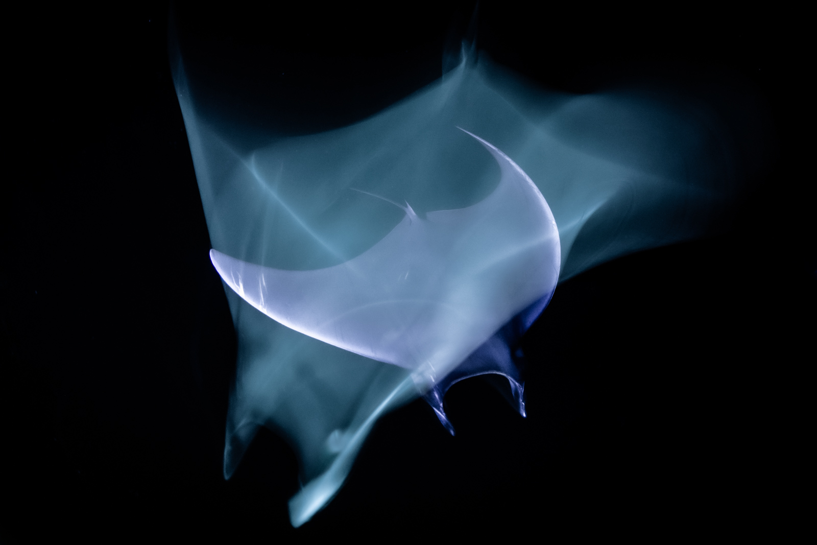 How to Take Great Underwater Photography Action Shots - ChinaGoSmart ...