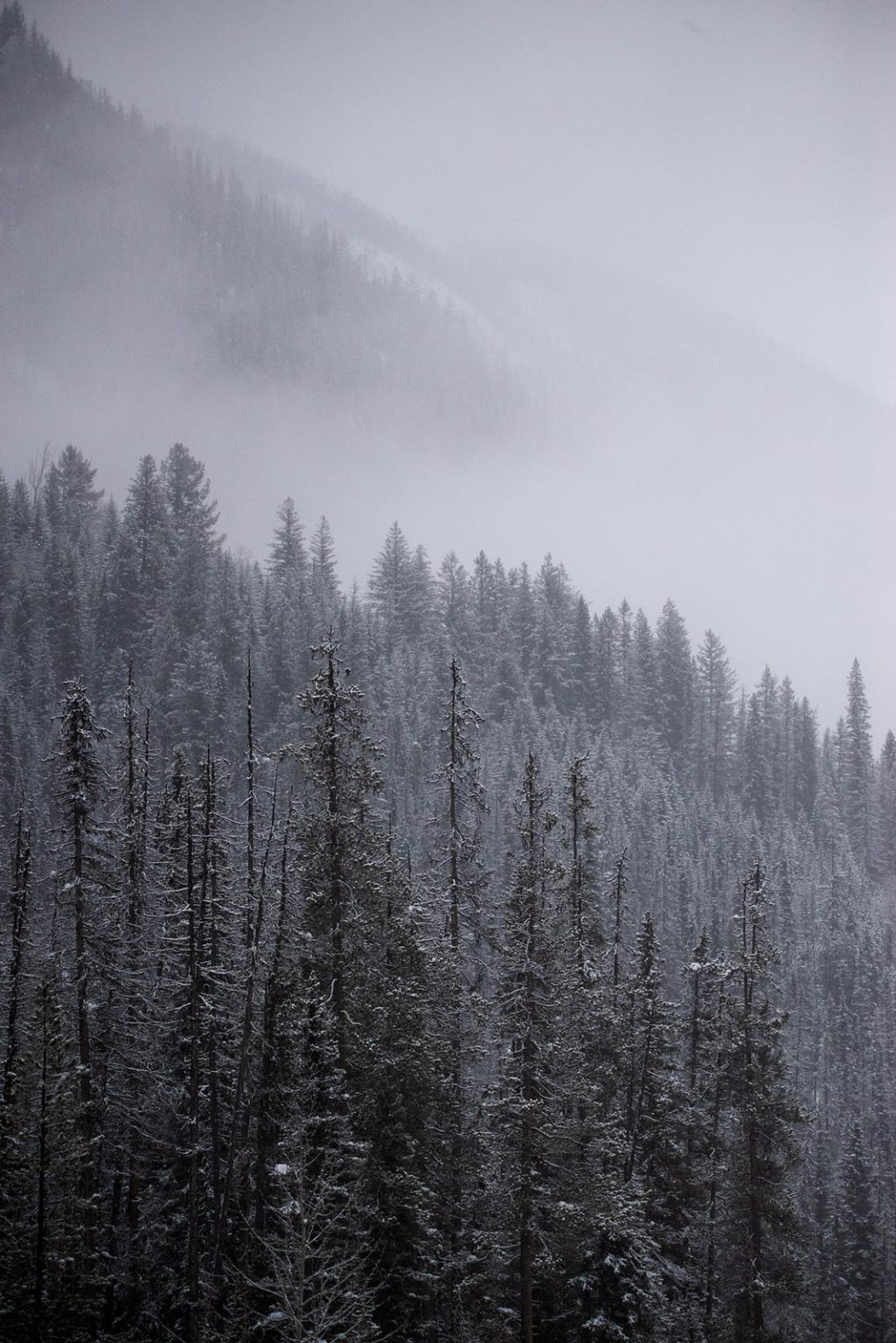 The Comprehensive Guide to Composition in Photography - Nature TTL