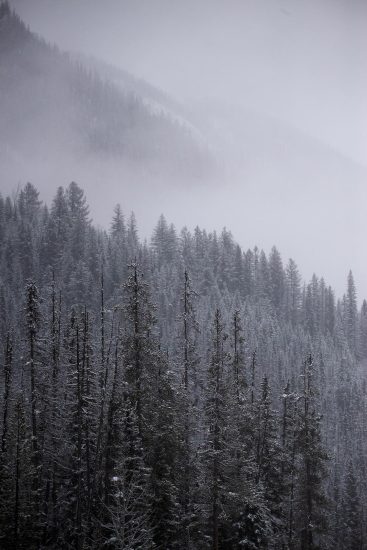 The Comprehensive Guide to Composition in Photography - Nature TTL