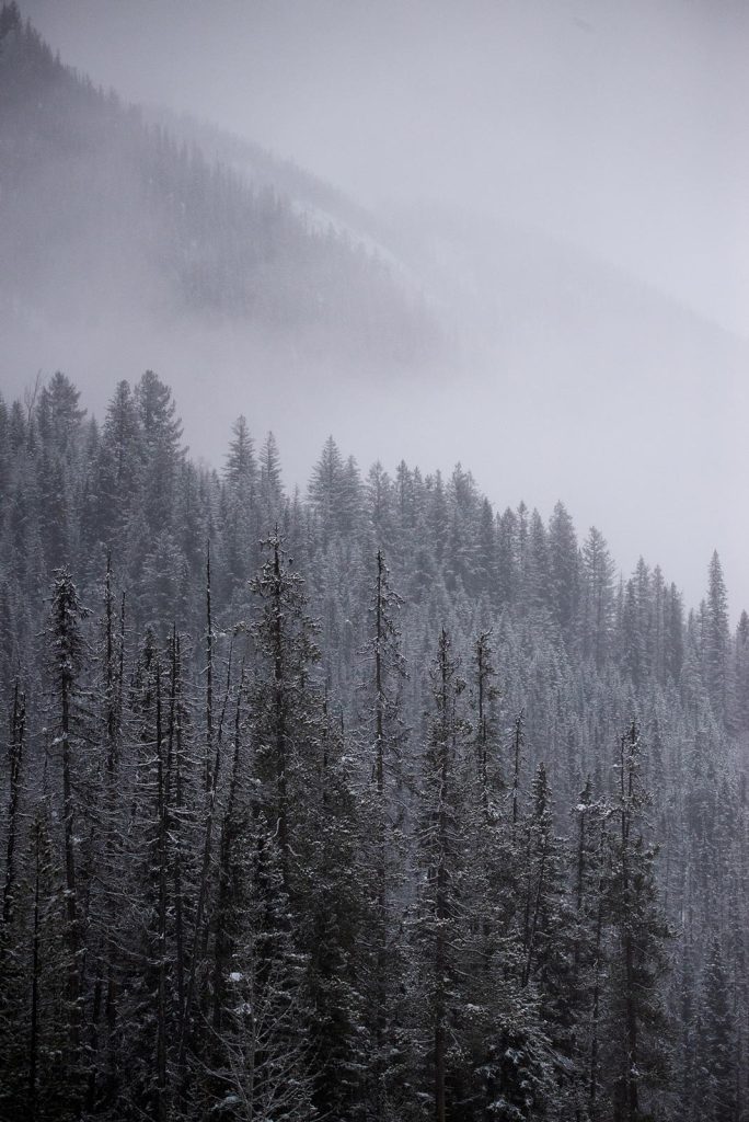 The Comprehensive Guide to Composition in Photography - Nature TTL