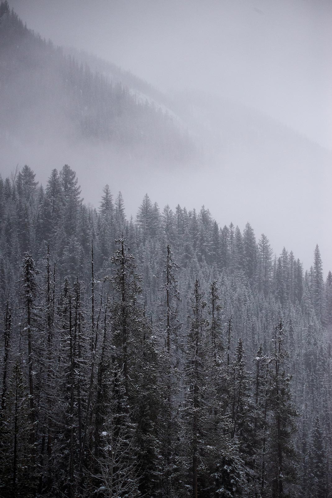 The Comprehensive Guide to Composition in Photography - Nature TTL