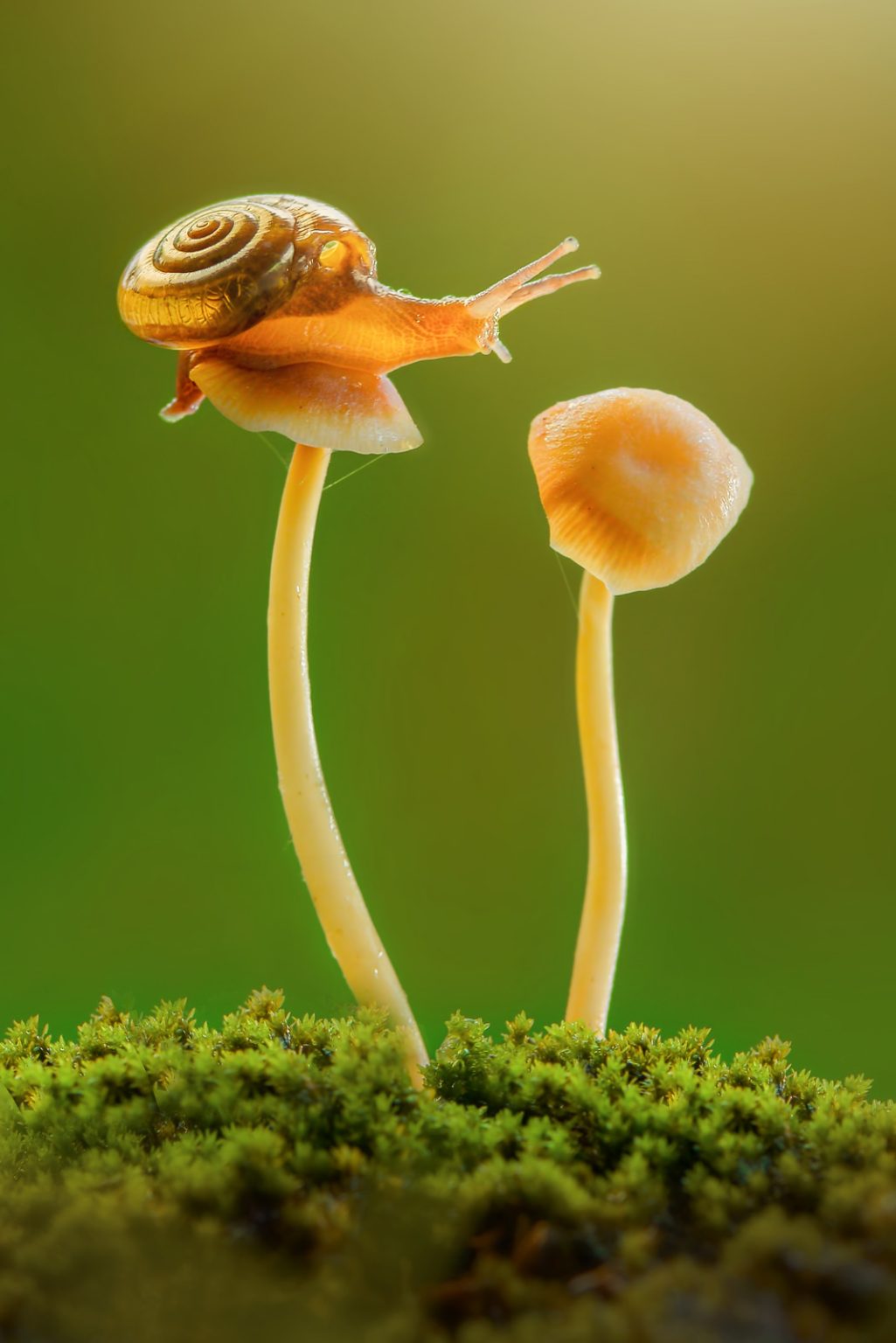 The Comprehensive Guide to Composition in Photography - Nature TTL
