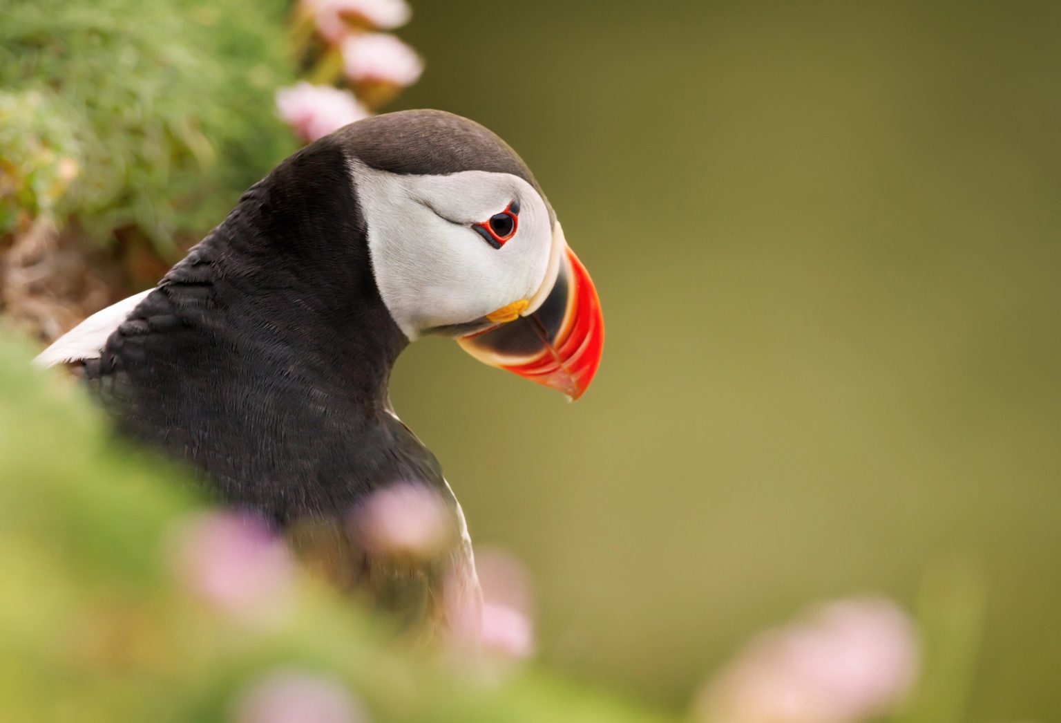 The Comprehensive Guide to Composition in Photography - Nature TTL