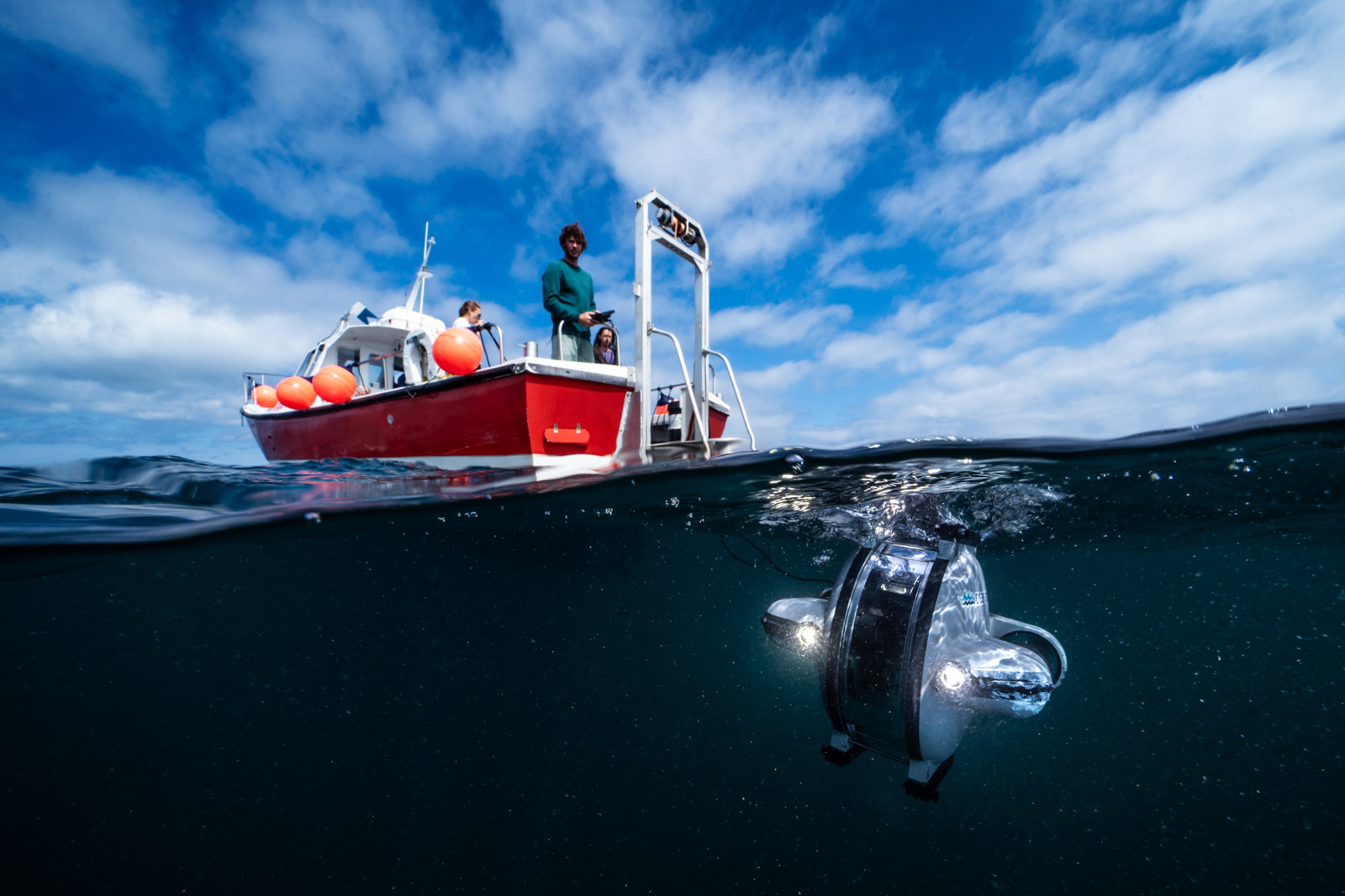 Conservation Photography: How to Get Started for Underwater ...